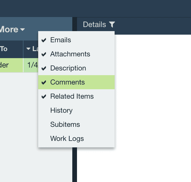 Details Panel | Axosoft Documentation